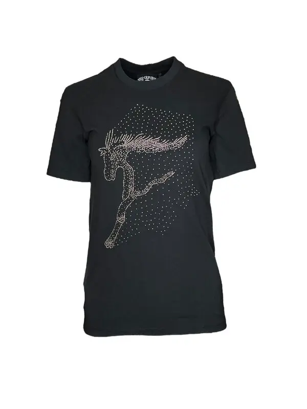 ANY OLD IRON Embellished Wild Stallion T-shirt
