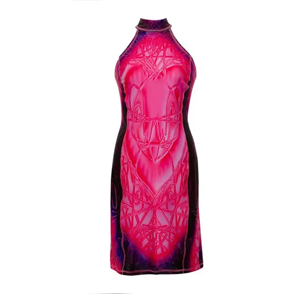 PALOMA LIRA Printed Lycra Dress