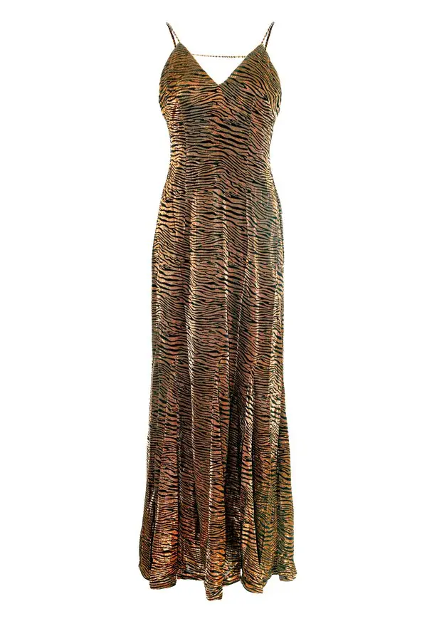 AMY LYNN Talia Tiger Velvet Burnout Maxi Dress - Brown