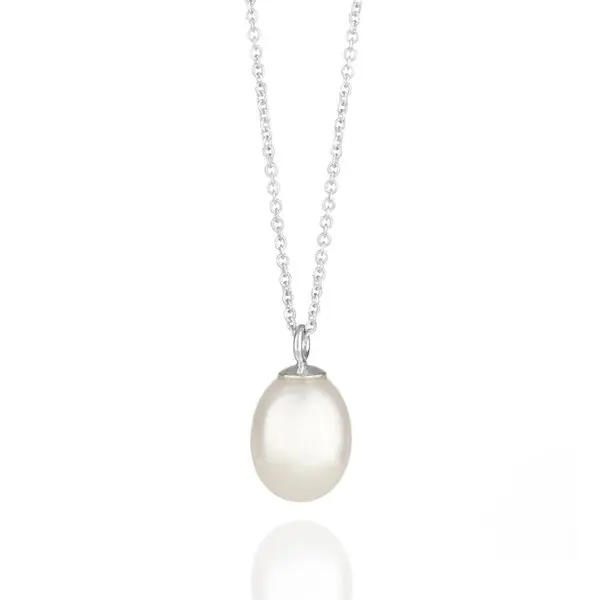 AUGUSTINE JEWELS Freshwater Pearl Sterling Silver Necklace - Silver/white