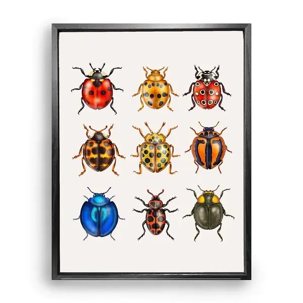 EMILY CARTER Orange / Red British Ladybirds Fine Art Print M - Orange/red