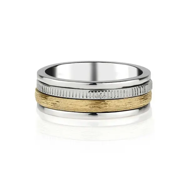 CHARLOTTE'S WEB JEWELLERY Divine Cosmos Silver Spinning Ring - Gold/silver