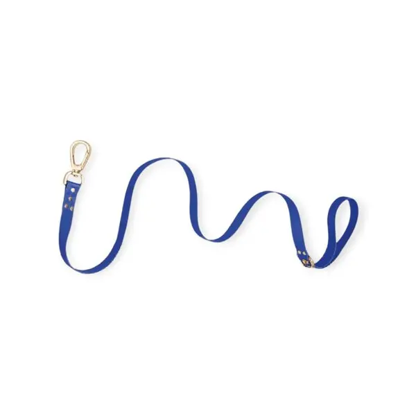 MAKPAWS Diamond Dog Leash - Blue