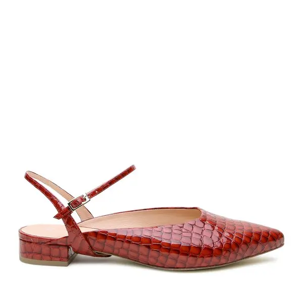ALTERRE Clay Croc Amal Point Slide