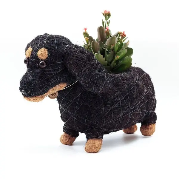 Likhâ Dachshund Animal Planter Natural Coco Coir Pot - Black