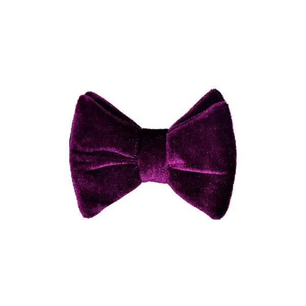 DAVID WEJ Butterfly Velvet Bow Tie - Purple