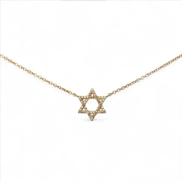 NESHI DESIGNS Diamond Jewish Star Necklace - Gold