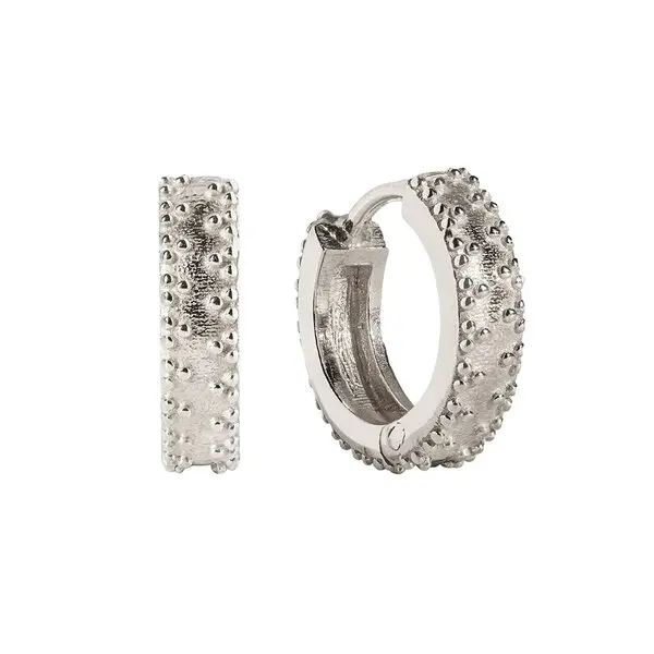 CHARLOTTE'S WEB JEWELLERY Rania Huggie Hoop Earrings - Silver