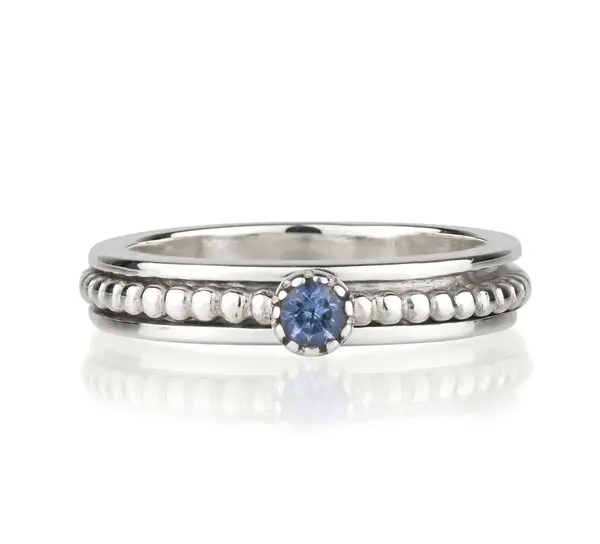 CHARLOTTE'S WEB JEWELLERY Silver Lalita Spinning Ring With Tanzanite - Silver/purple