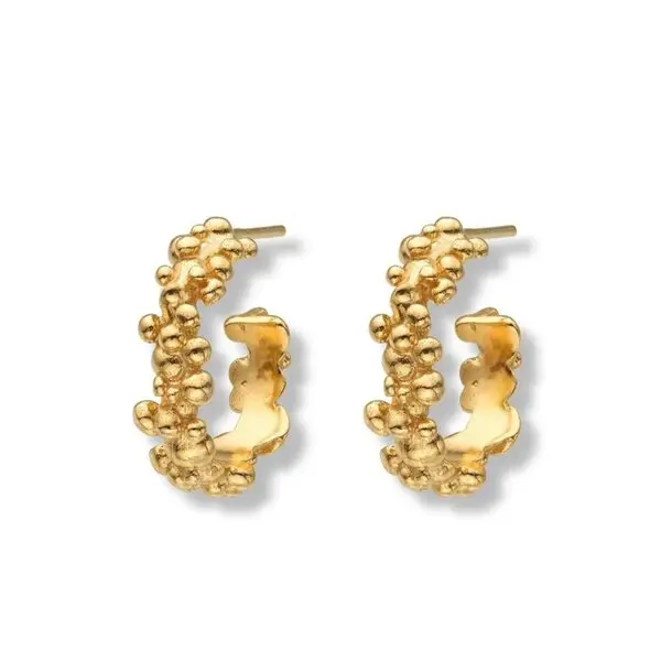 EVA REMENYI Céleste Deux Small Hoop Earrings - Gold