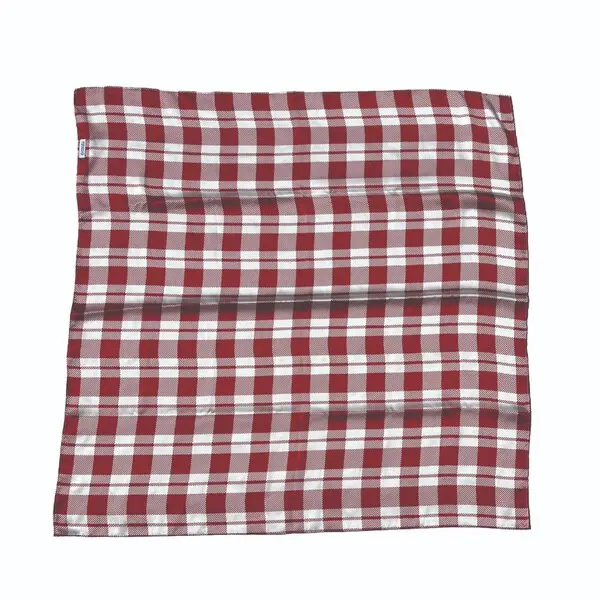 FORMULA S7 White Plaid Silk Scarf - Red