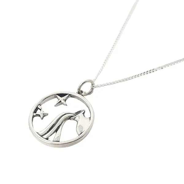 HARFI Aquarius Zodiac Charm Necklace - Silver
