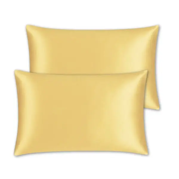 HI SILK Mulberry Silk Housewife Pillowcase Set Of Two Twenty Five Momme - Gold