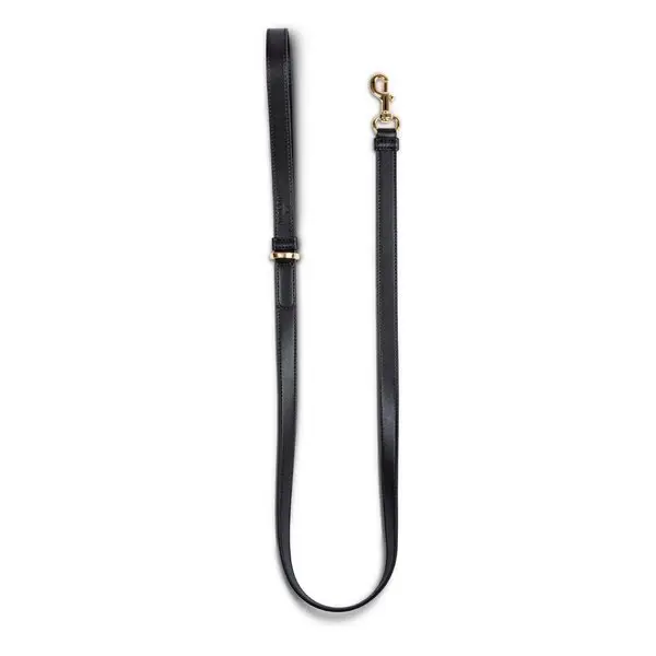 ALECOO Classy Dog Leash - Black