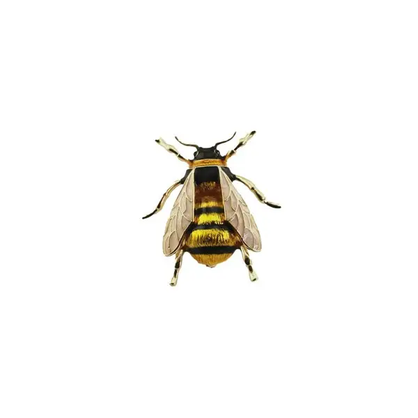 CHANEL JOAN ELKAYAM Enamelled Bee Brooch - Black/brown