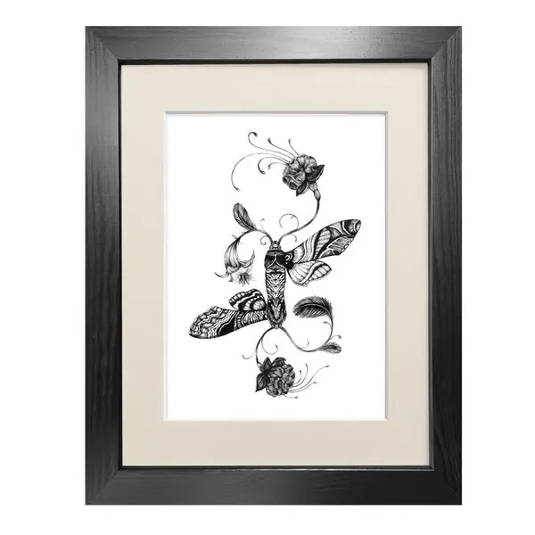EMILY CARTER Fuchsiadoptera' Fine Art Print A5 - Black