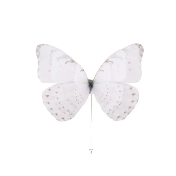 OANASAVU.CREATIONS Silver-plated Silk Butterfly Brooch - White
