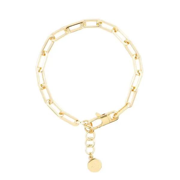 THEANIMALS Francie Link Necklace - Gold