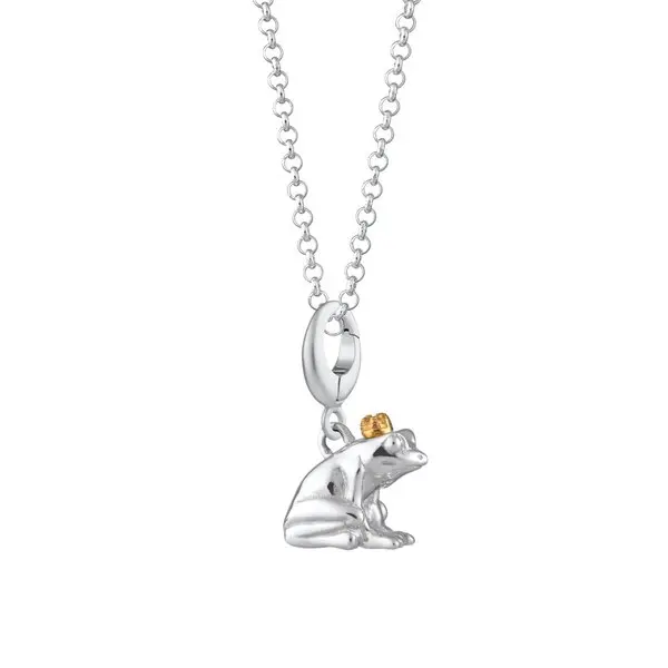 LILY CHARMED Sterling Silver Frog Charm Necklace - Silver/gold