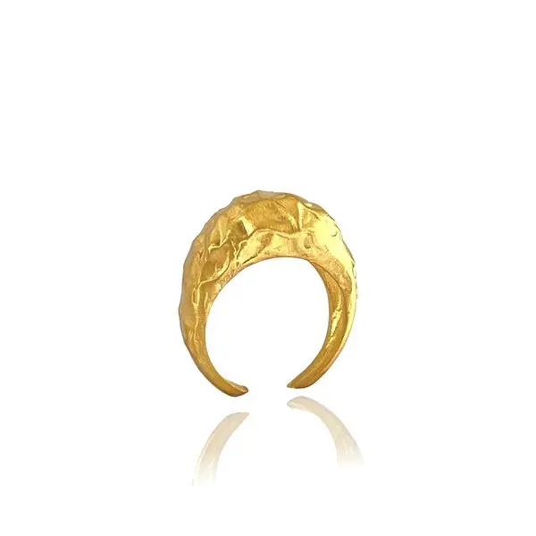 LINYA JEWELLERY Pary Amorphous Oval Ring - Gold