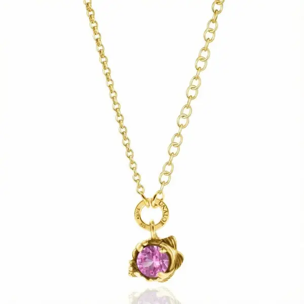 UNALOE Gold Vermeil Necklace With Pink Zirconia Gemstone - Gold/pink