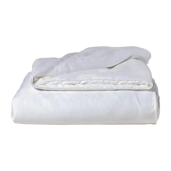 SOFT STROKES SILK Pure Silk Filled Duvet Long Strand Mulberry Silk Floss Fill Queen Size, 0.5 Kg, Cotton Shell - White