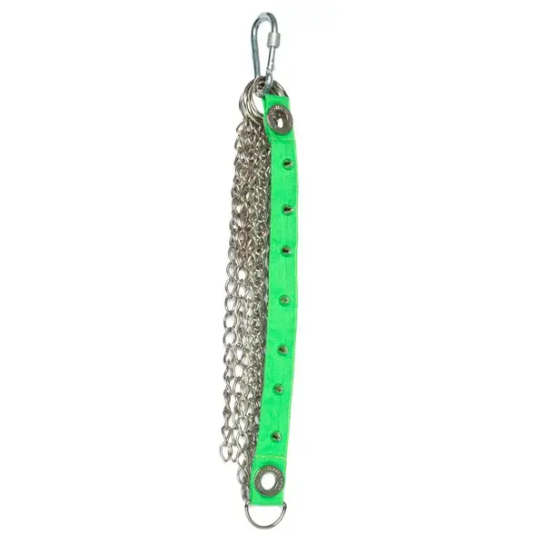 PALOMA LIRA Rave Keychain - Green