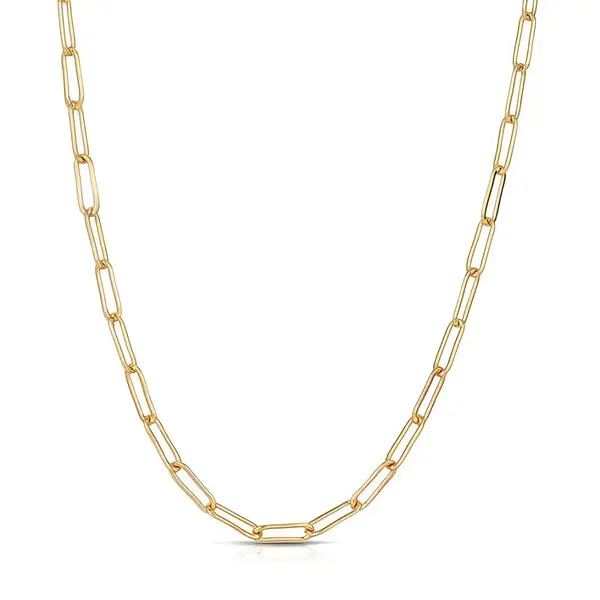 EVER JEWELLERY Laneway Chain Necklace - Gold