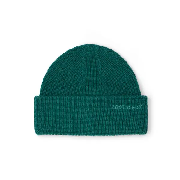 ARCTIC FOX & CO. Embroidered Merino Wool Beanie - Green
