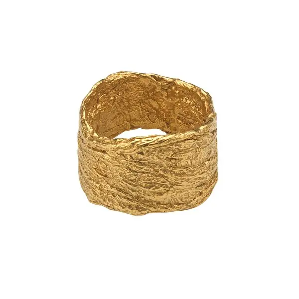 EVA REMENYI Archaic Band Ring - Gold