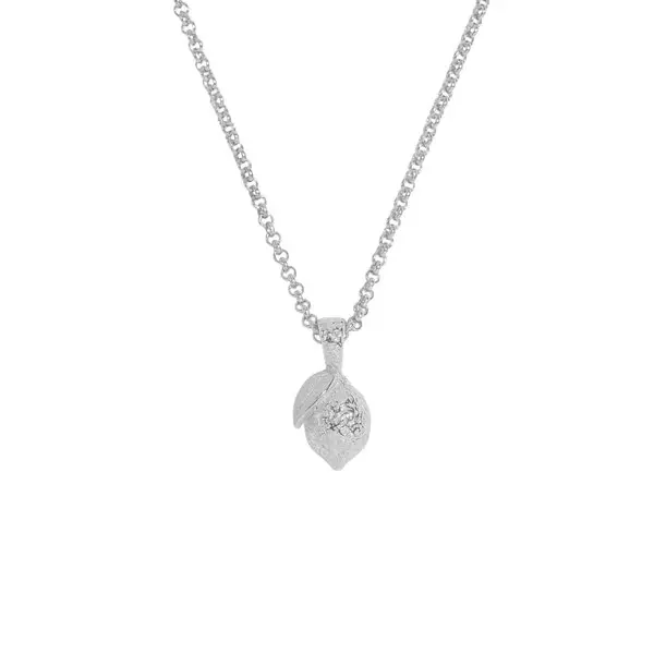 CLAIRE HILL DESIGNS Lemon Charm Necklace - Silver