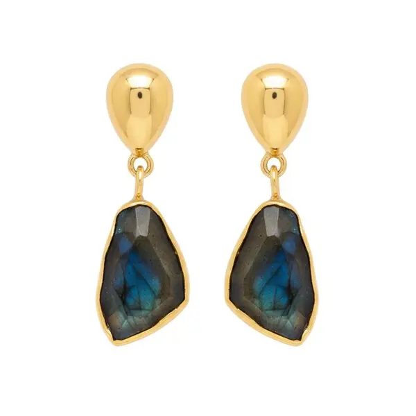 LINYA JEWELLERY Natural Labradorite Dangle Earrings - Gold