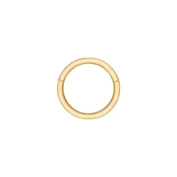 ZOHREH Mini Seamless Hoop Earring 9k - Gold
