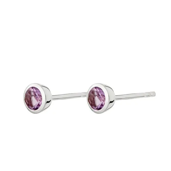LILY CHARMED Silver Amethyst Stud Earrings - Silver/purple