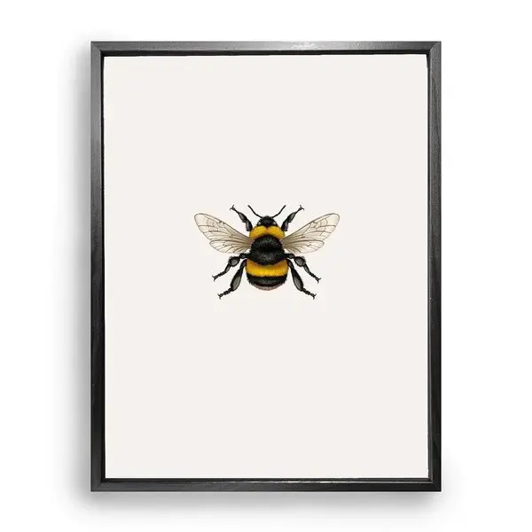 EMILY CARTER Gold / Neutrals / Yellow British Bumble Bee Fine Art Print M - Gold/yellow
