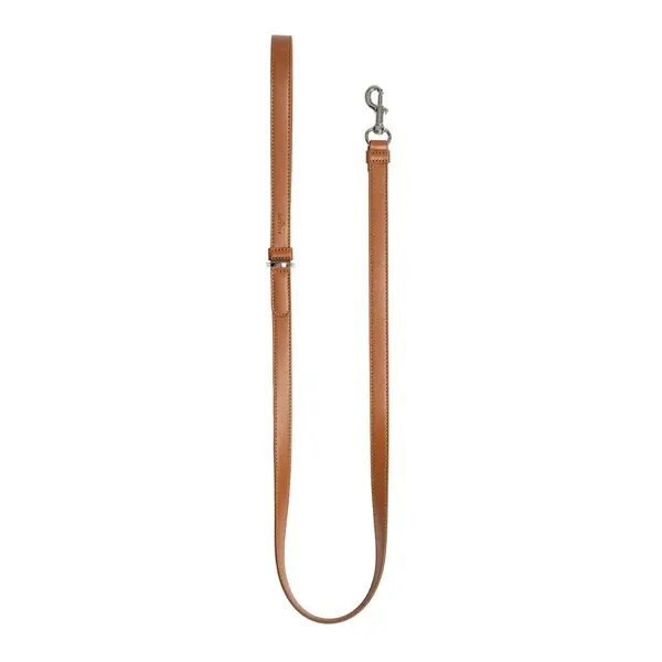 ALECOO Classy Dog Leash - Brown