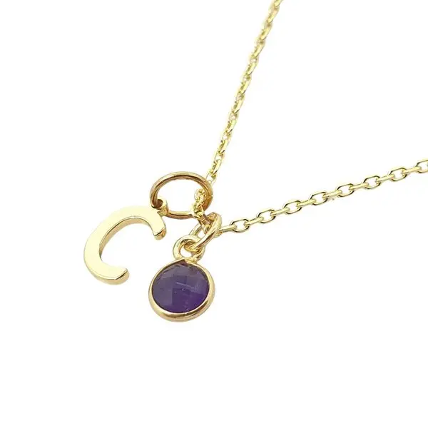 HARFI Mini Amethyst February Birthstone And Initial Necklace - Gold/yellow