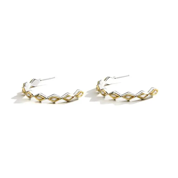 RRAINE JEWELRY Elana Hoop Earrings - Silver