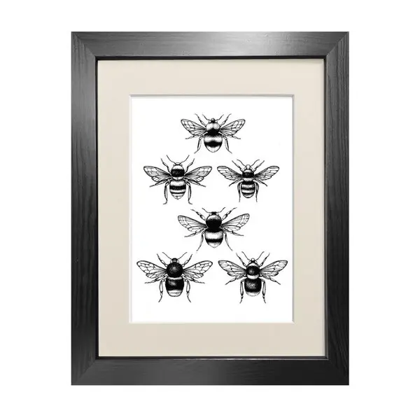 EMILY CARTER British Bees' Fine Art Print A3 - Black