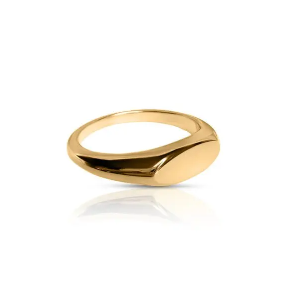 EVER JEWELLERY Madison Signet Ring - Gold