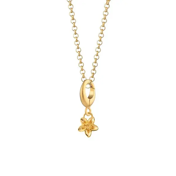 LILY CHARMED Forget Me Not Flower Charm Necklace - Gold