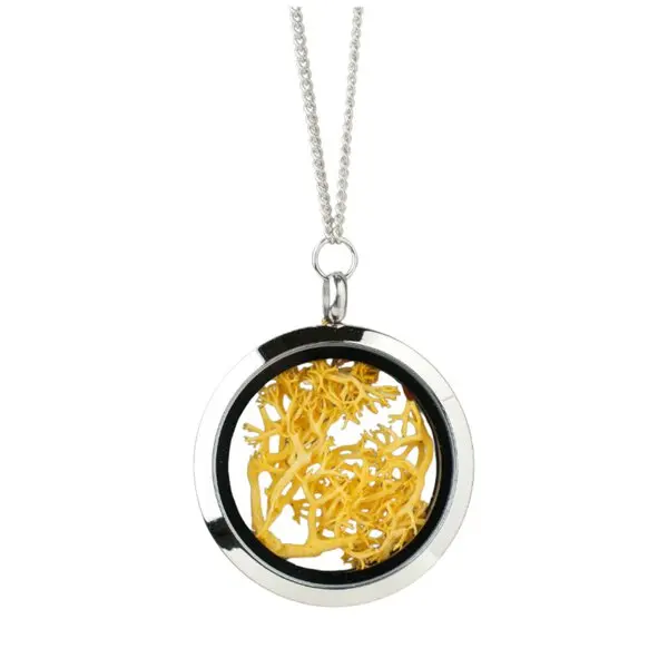 MY LITTLE NATURE Handmade Necklace With Natural Moss - Silver/yellow