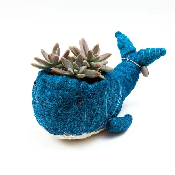 Likhâ Whale Animal Planter Natural Indoor Plant Pot - Blue