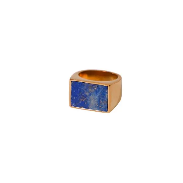 MIDDLE FINGER Gold Plated Lapis Lazuli Signet Ring - Gold/blue
