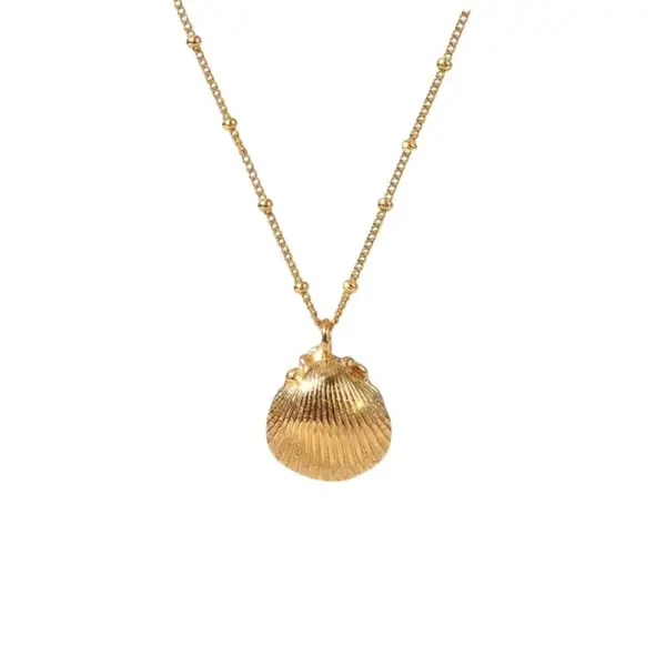 DAINTY LONDON Seashell Pendant Necklace - Gold