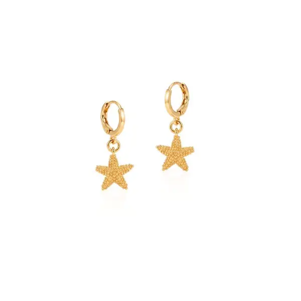 JAREDJAMIN Sea Star Lever Back Earrings - Gold