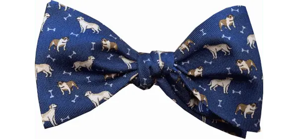 LAZYJACK PRESS Hair Of The Dog Bow Tie - Blue