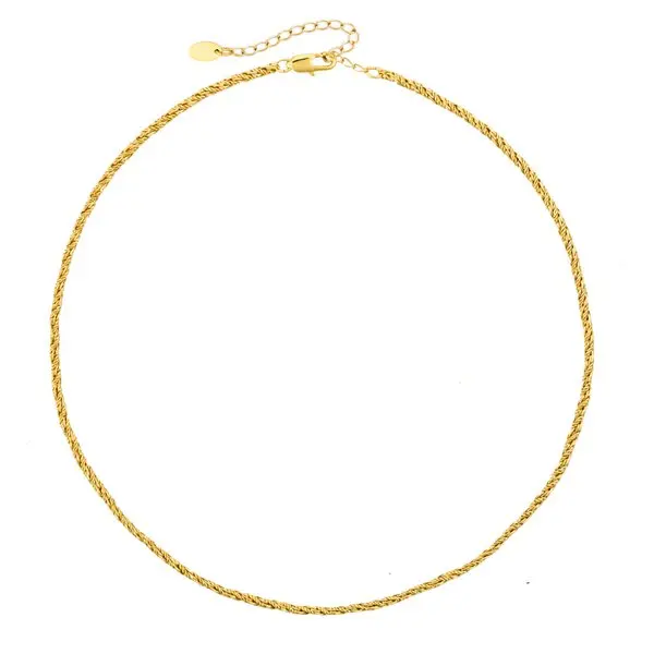 ARCTIC FOX & CO. Rope Chain Necklace - Gold