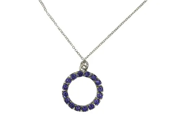 VICKISARGE The Hoop Necklace In Platinum Long - Purple