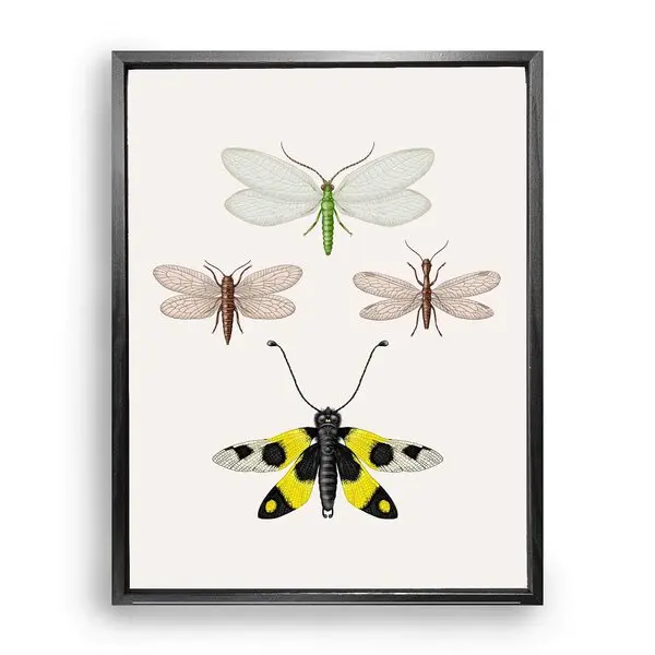 EMILY CARTER Gold / Yellow British Lacewings Fine Art Print S - Gold/yellow